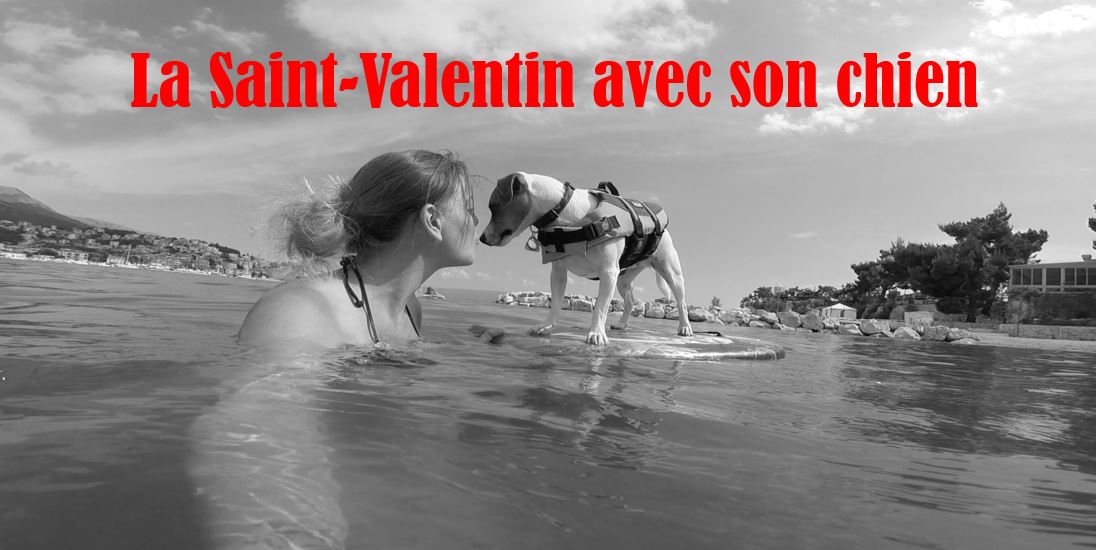 19 raisons de fêter la Saint-Valentin avec son chien - Voyager avec son ...