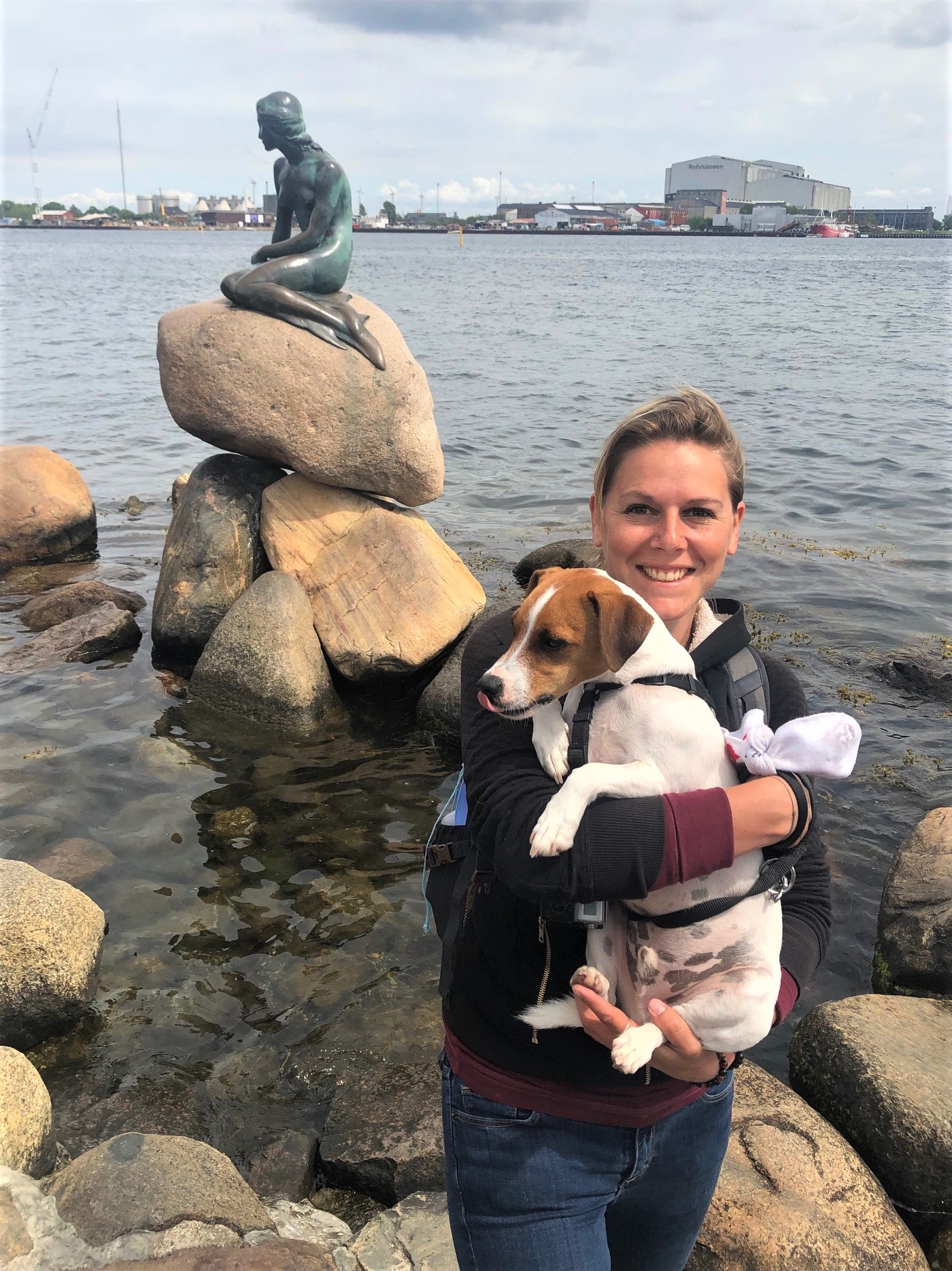 Voyager avec son chien - Copenhague avec son chien - Danemark