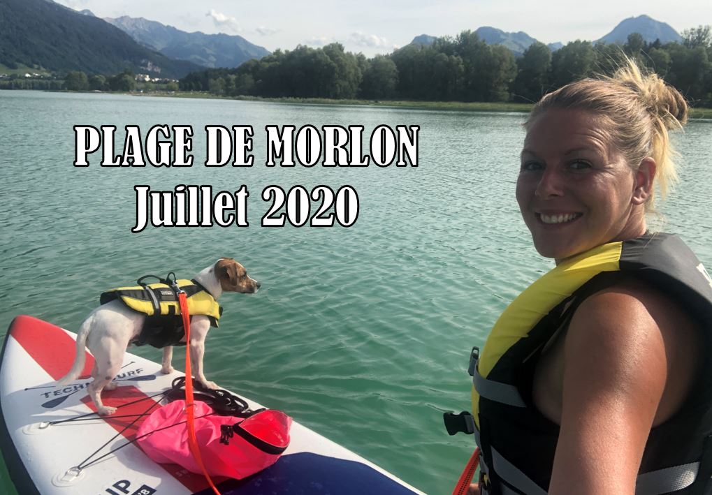 La plage de Morlon avec son chien